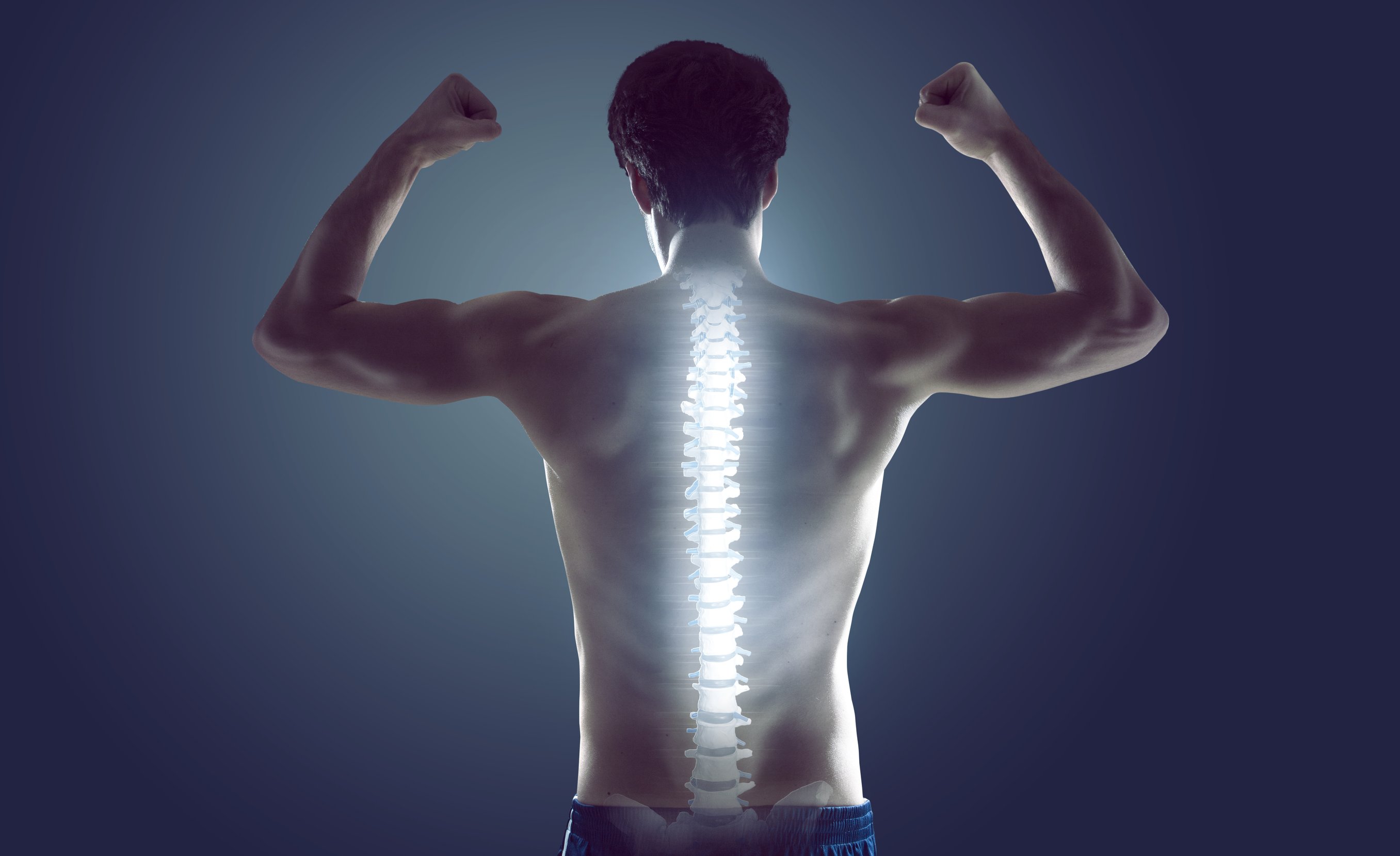 5 Facts About the Spine: Long, Tall & Short of It